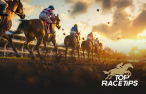 Comparing Beyer, Equibase, TimeformUS, and Brisnet Speed Figures - Top ...