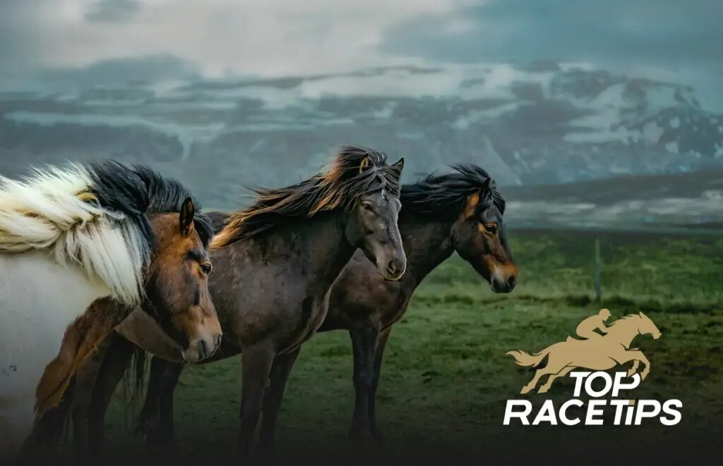 Terminologia delle corse di cavalli: una guida semplice per ...